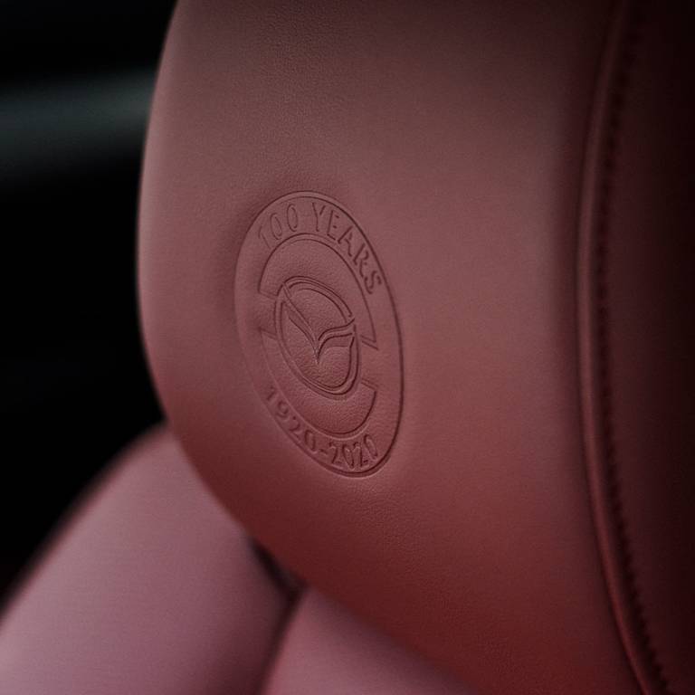 100th Anniversary Special Editions models