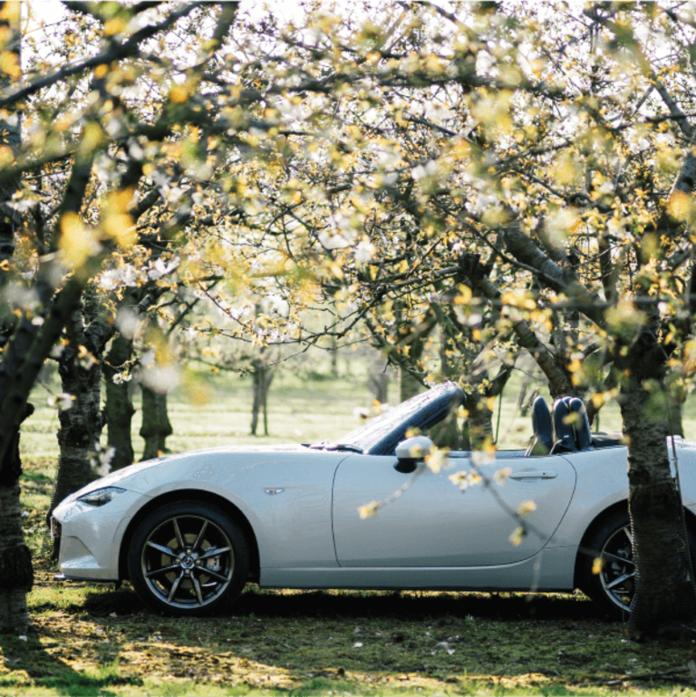 Mitchell Mazda | Servicing & MOT | Mazda UK