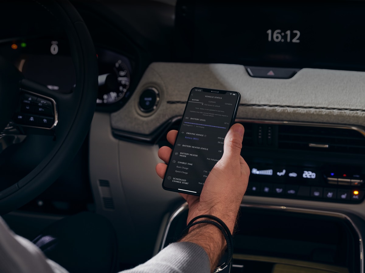 La mia auto: panoramica