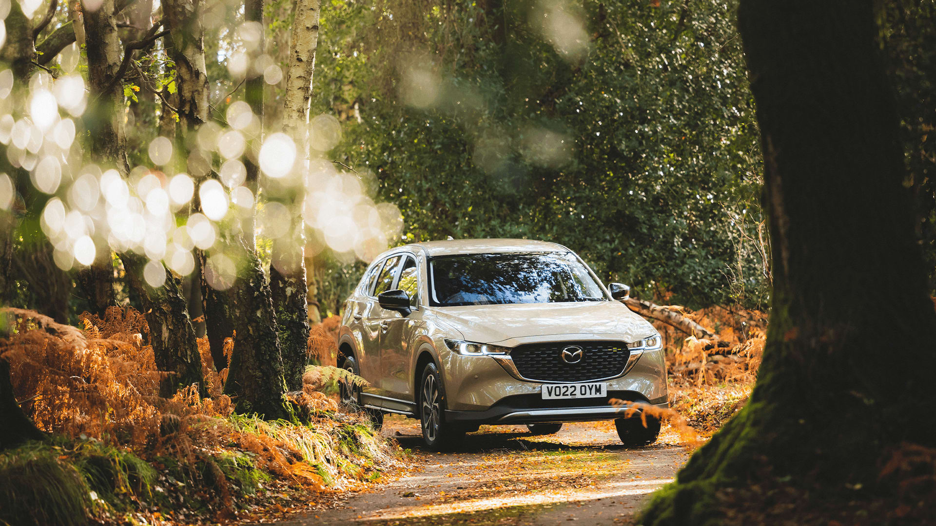 Experience Moments That Matter With Mazda