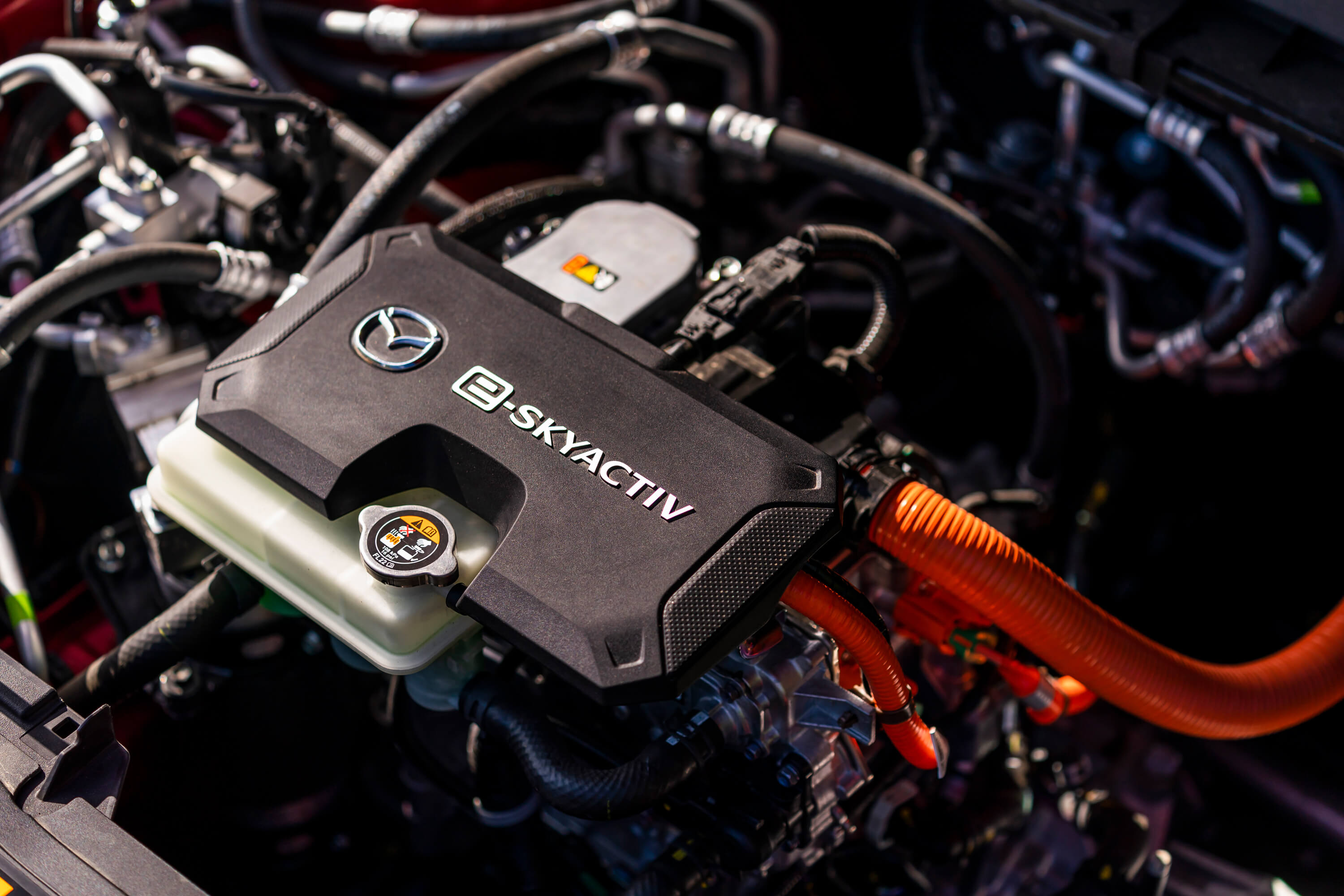 Join us on a journey of electrification