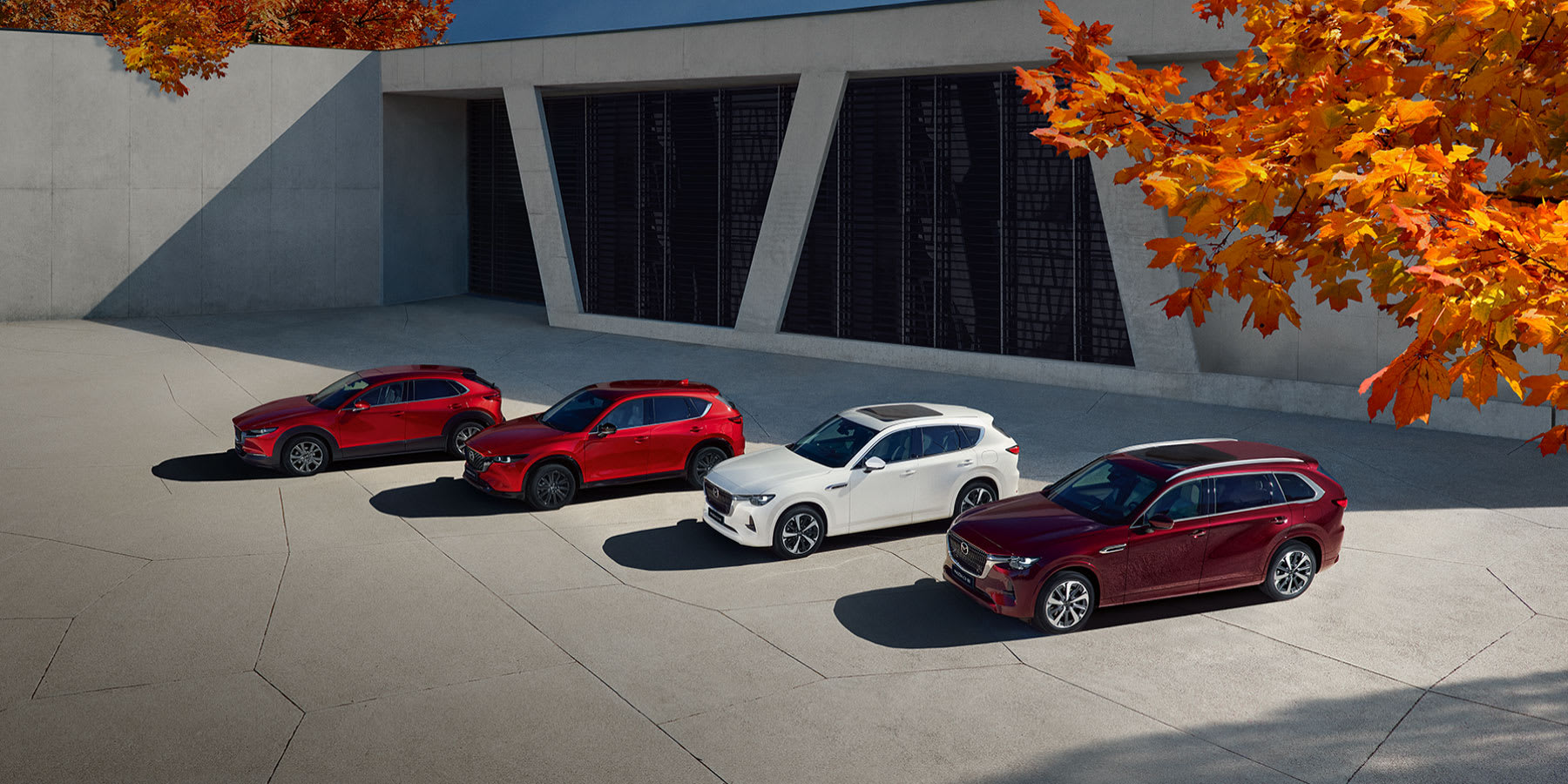 Pentraeth Automotive Mazda | New Cars | Mazda UK